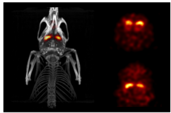 MOLECUBES ß-CUBE Preclinical PET imager – LabLogic