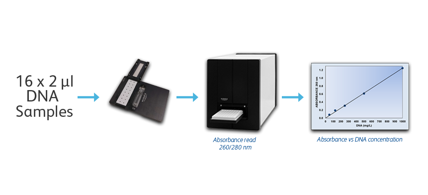 Perform DNA quantification easily with the Hidex Sense – LabLogic